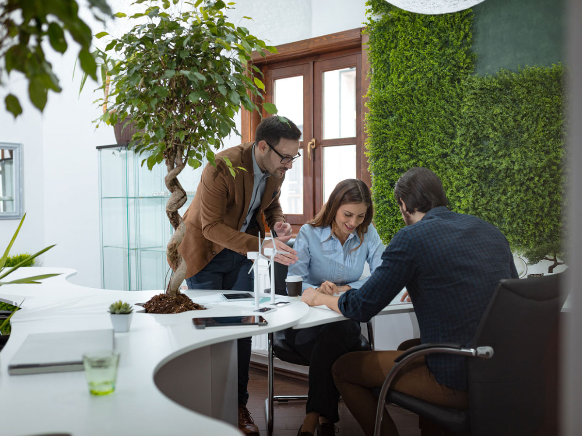 Green Office : définition, avantages et application — Global Concept